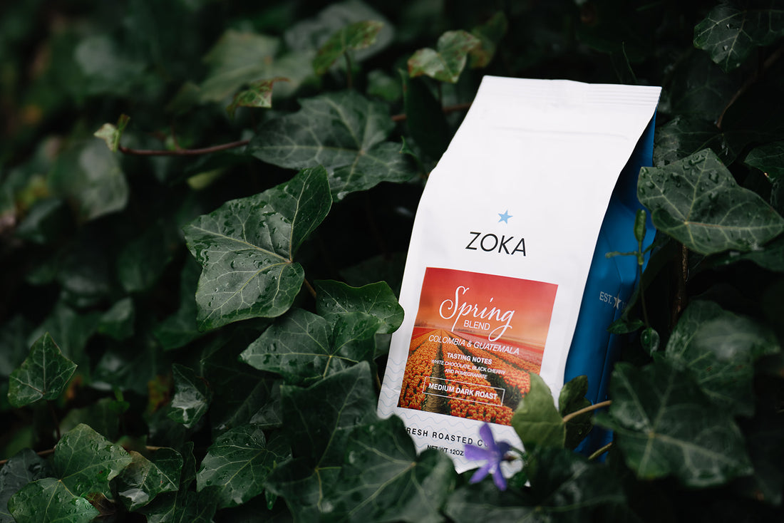 Zoka Coffee Roasters – Zoka Coffee Company