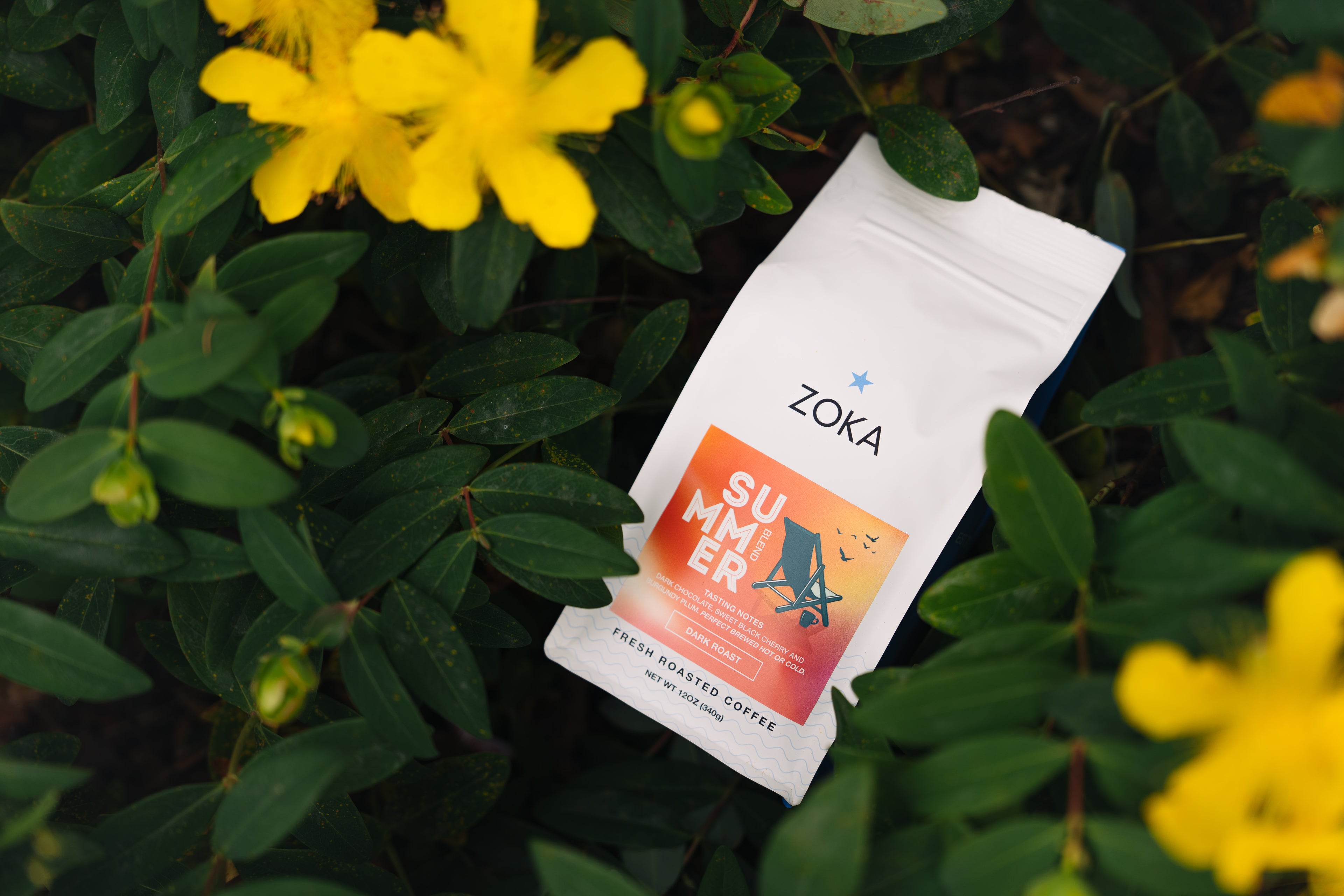 Zoka Coffee Roasters – Zoka Coffee Company