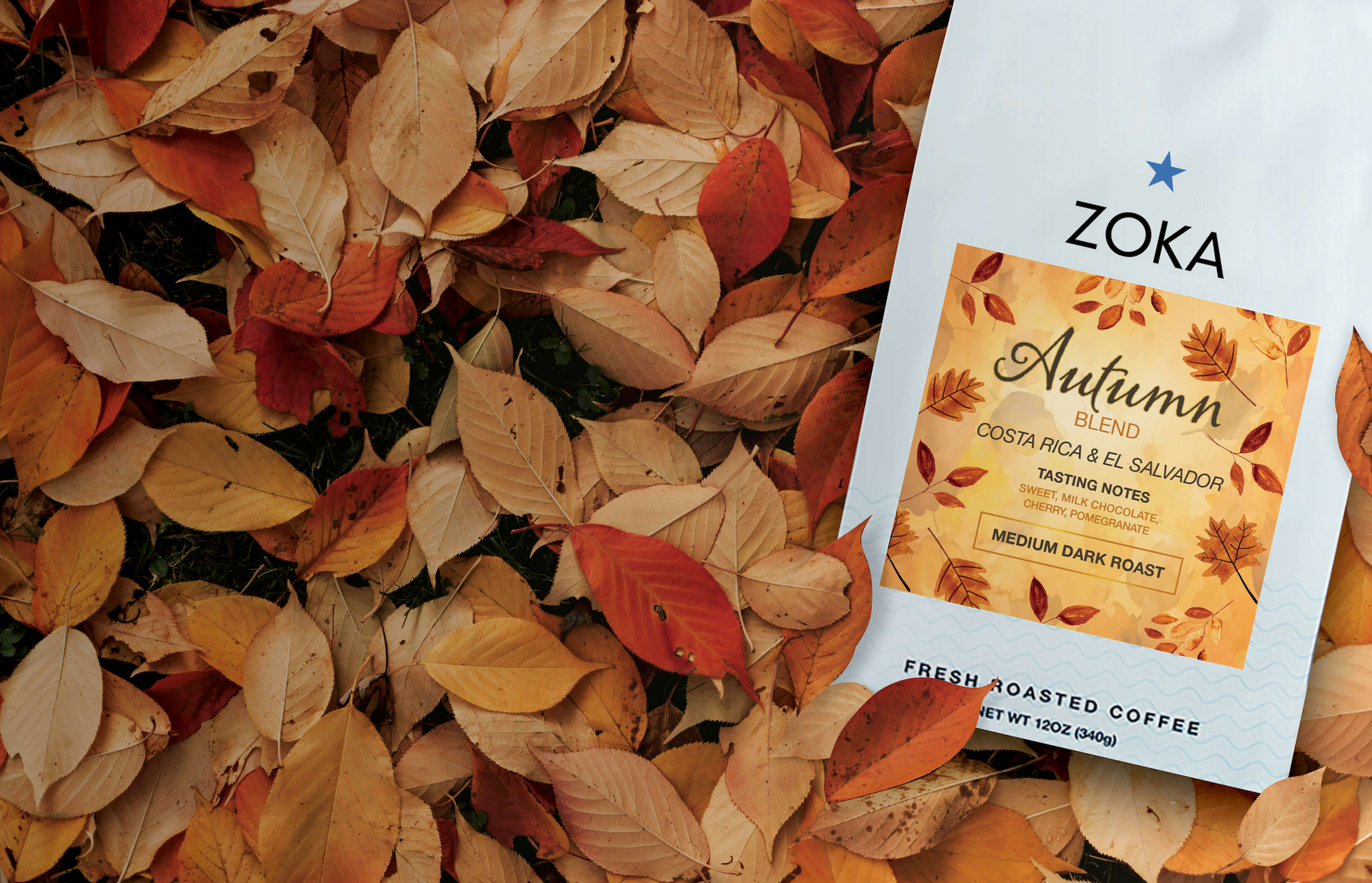 Zoka Coffee Roasters – Zoka Coffee Company