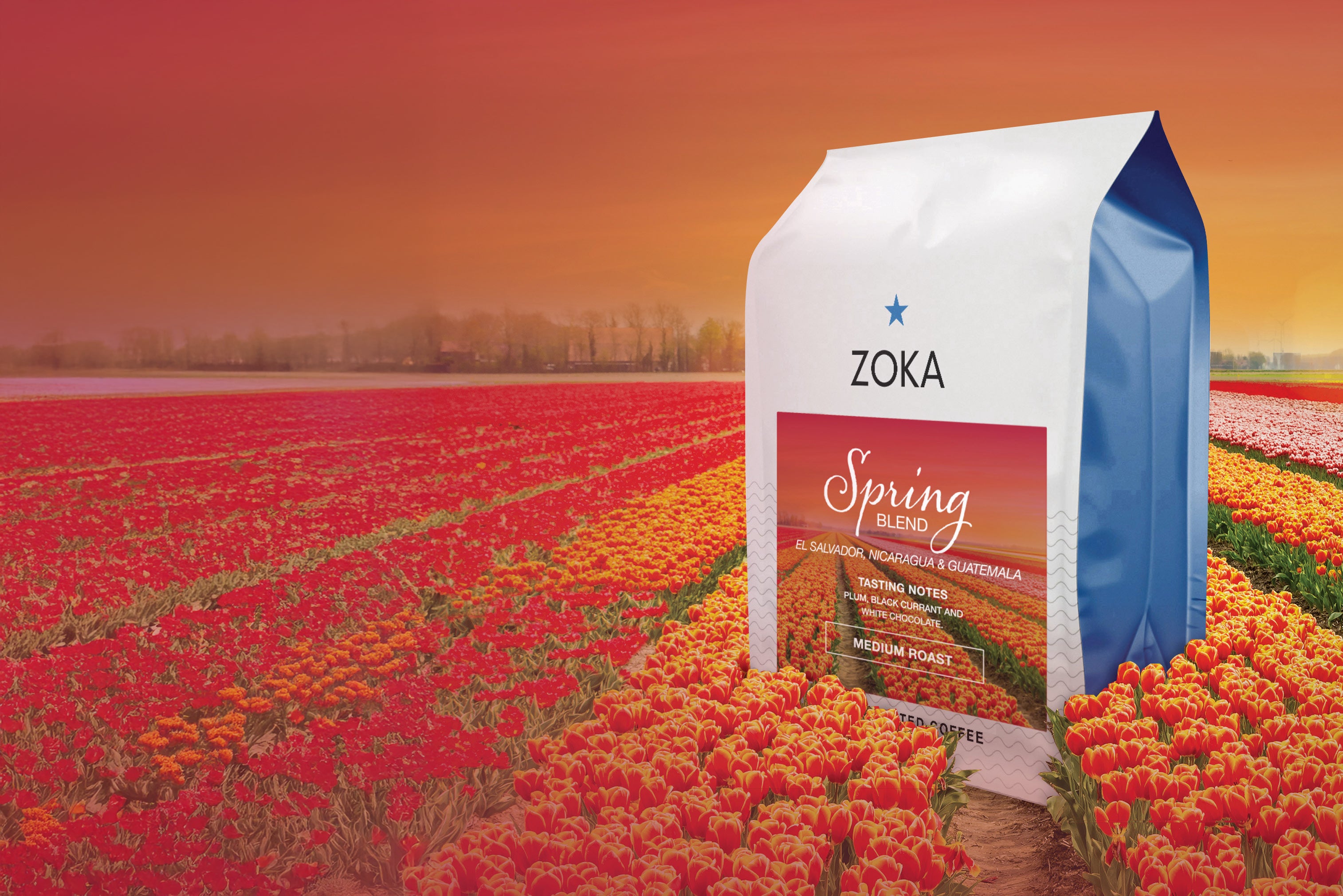Zoka Coffee Roasters – Zoka Coffee Company