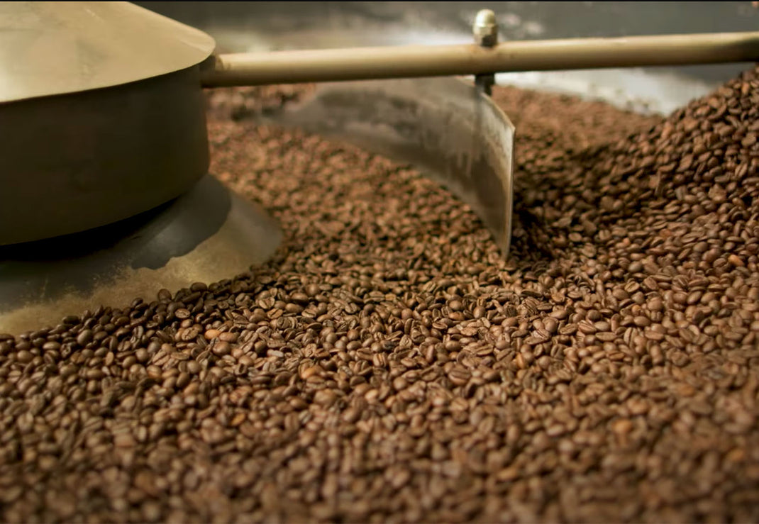 Our Story – Zoka Coffee Company